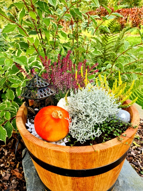 Say Hello to Fall With a Cornucopia Container Garden - Pleasant View ...